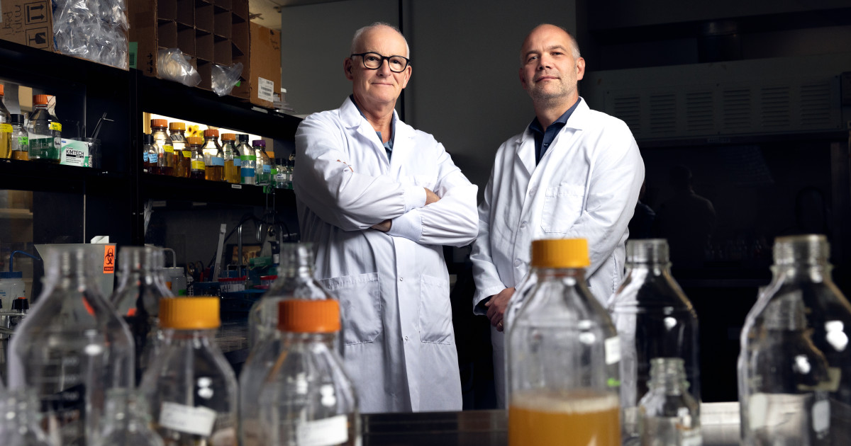 Harnessing the power of bacteria | St. Joseph's Health Care London